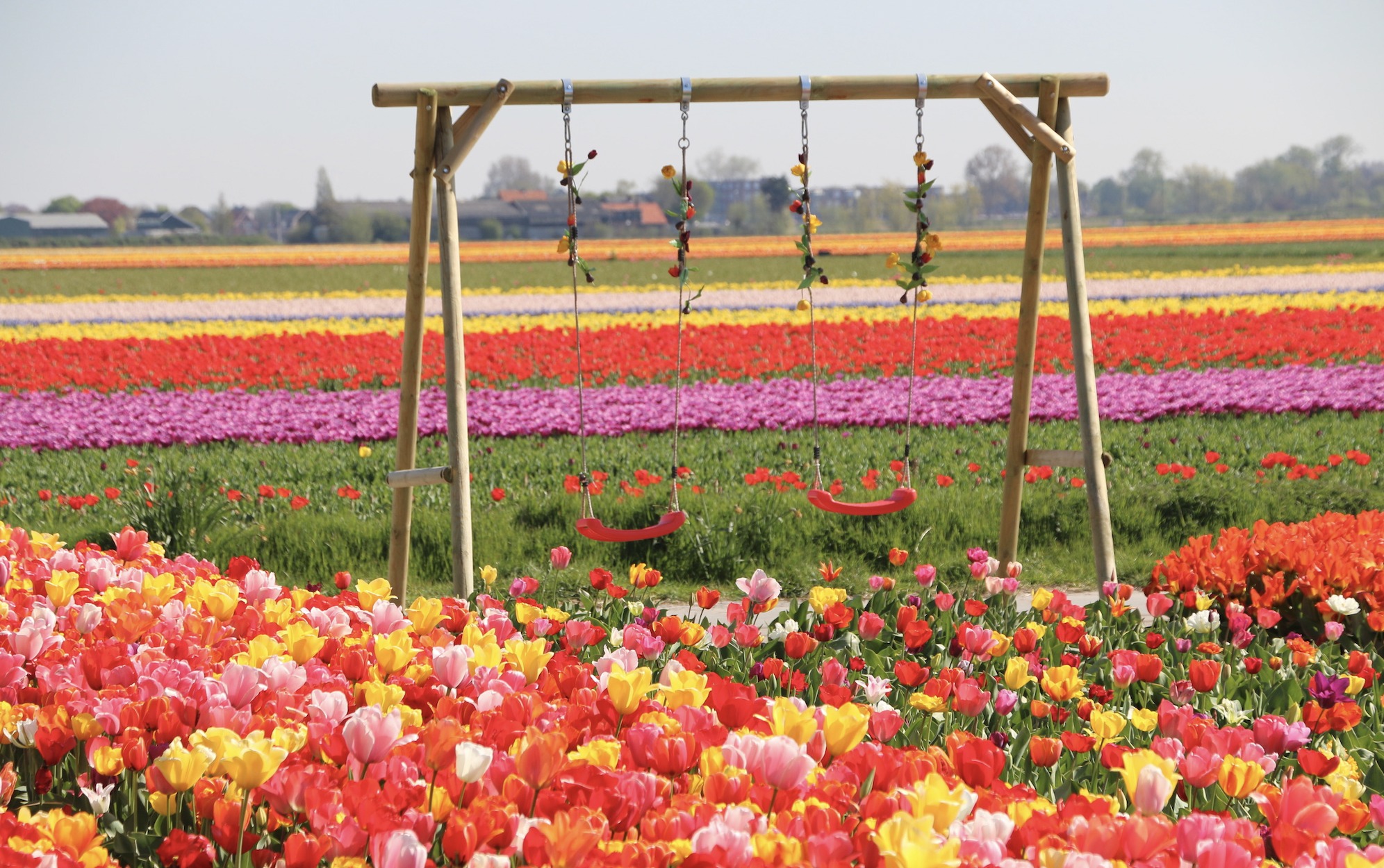 electric-scooter-tulip-tour-Noordwijk - Tulip Festival Amsterdam