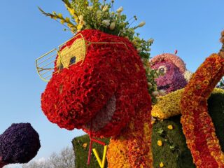 Flower Parade route and directions - Tulip Festival Amsterdam
