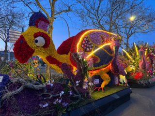 Flower Parade route and directions - Tulip Festival Amsterdam