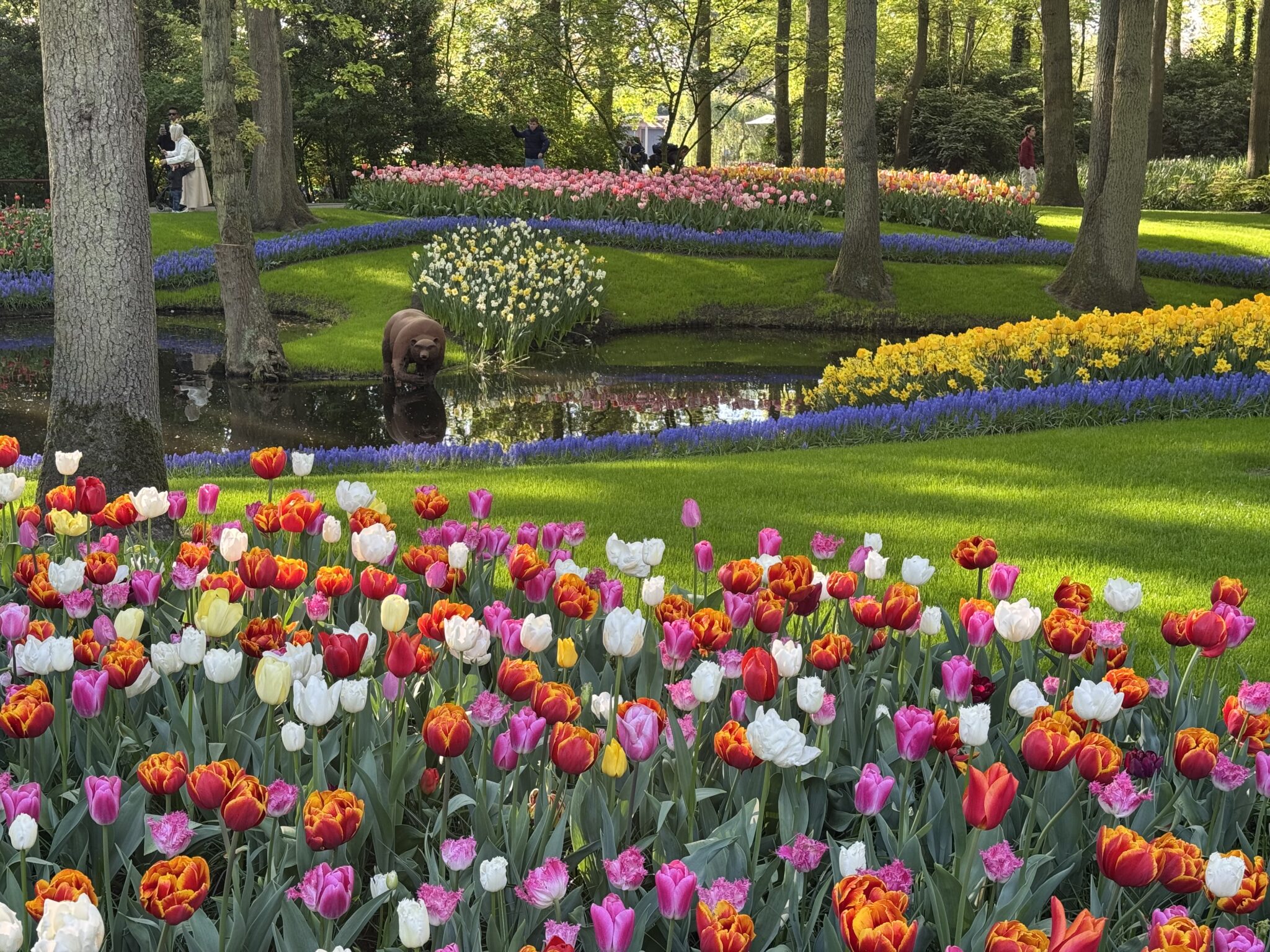 Flower Forecast 2025 – Season Review - Tulip Festival Amsterdam