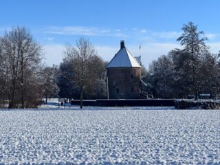 613186922_2064988344219724_6978435695571550798_n - Tulip Festival Amsterdam