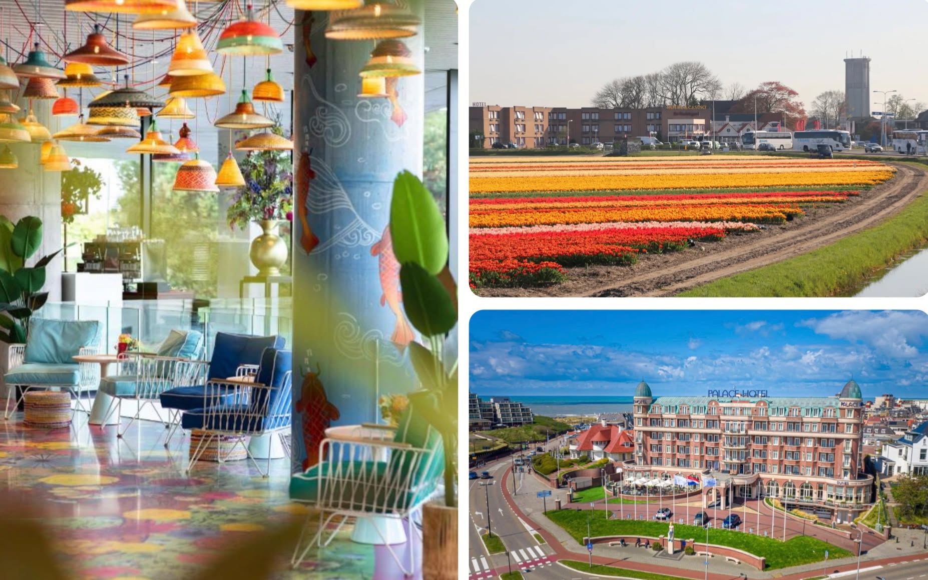 Tours to Keukenhof from Amsterdam, The Hague and Rotterdam